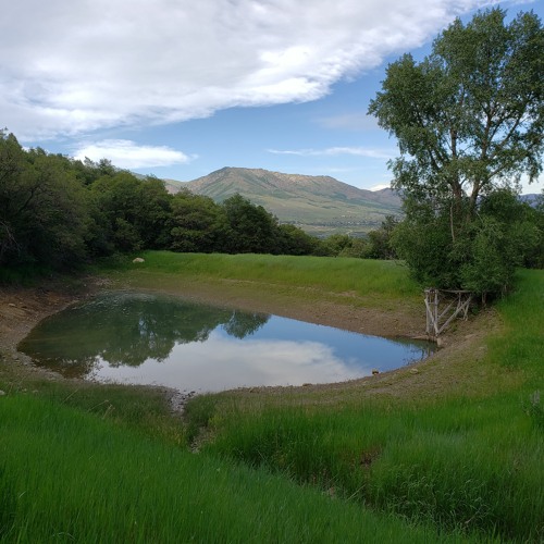 Stream Shoulder To Shoulder by Shawn Wiggins | Listen online for free ...