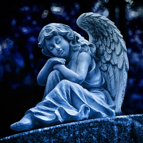 Stream Blue Angel by FRANK POELMAN (SONGWRITER/SINGER) | Listen online ...