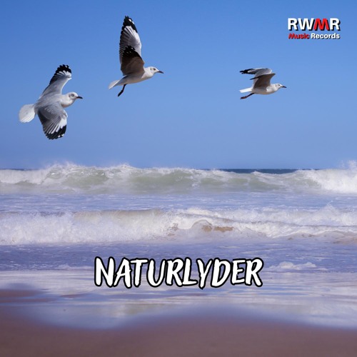 Stream Rolig kropp og sinn by RW Sjø og skog | Listen online for free ...