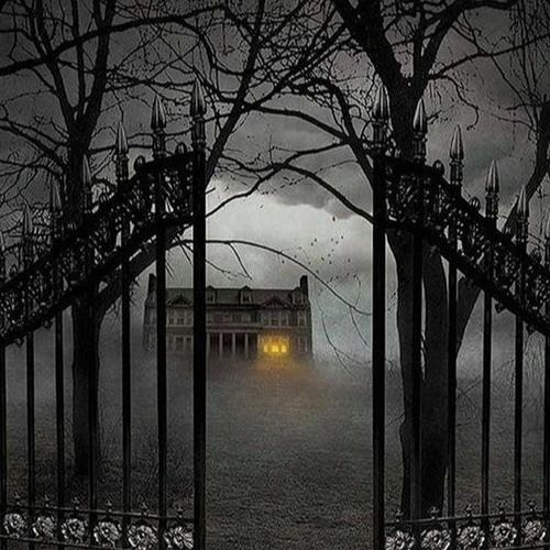 Stream Perspective-X-Jill-Marie-Morris-Stephanie-Bennetti-03-27-13 by ...