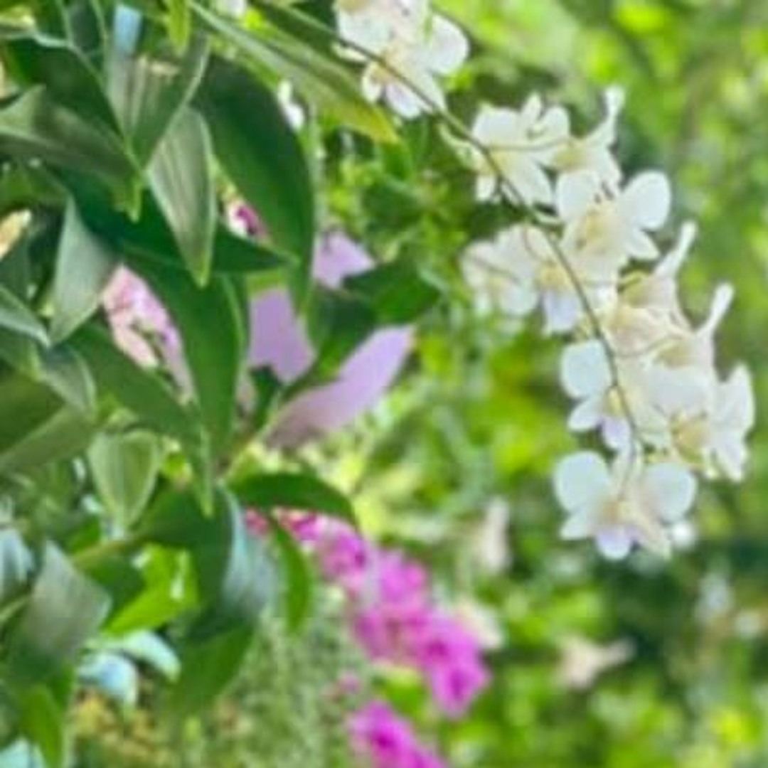 Stream NHT-KMH | Listen to Lwan Moe Collection - လွှမ်းမိုးသီချင်းများ ...