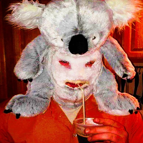 Stream episode Infinite Koala Dance by Goofy Goobers podcast | Listen ...