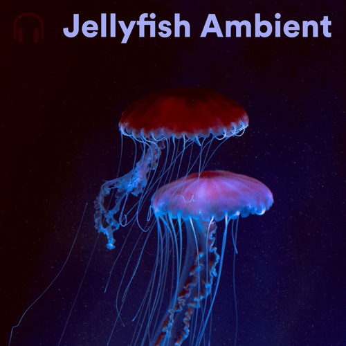 Stream Klangspot Recordings | Listen to Jellyfish Ambient - Relaxing ...