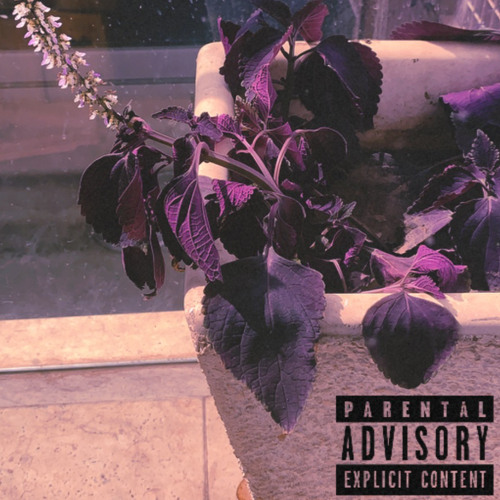 Stream DRAGON (Prod by Jootsu)(PLIPP PRODUCTION) by YHOK* | Listen ...