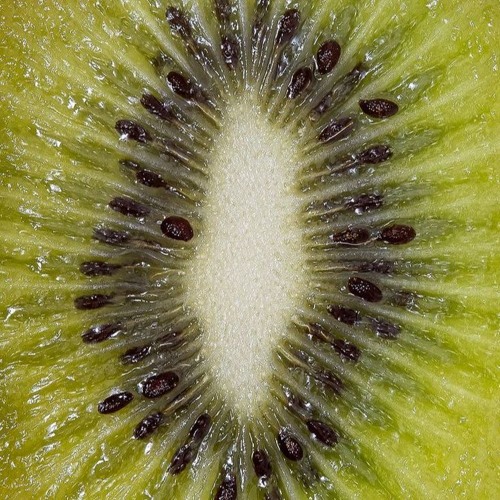 Stream Break (Alex G) Guitar Cover by ñe | Listen online for free on ...