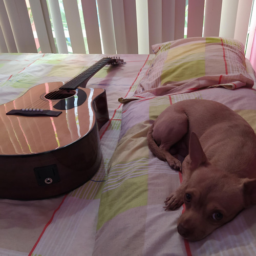 Stream Le puse nombre a cada estrella desde que te fuiste (guitarra y ...