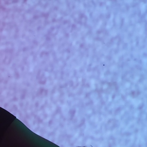 Stream ȼᵾɍɍɇnŧ ǥłøƀȺł ᵽȺŧŧɇɍ nƻ029 ( ) by Ghost Guts | Listen online ...