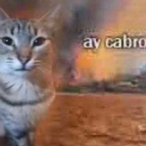 Stream Ay Cabron by m | Listen online for free on SoundCloud