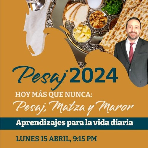 Nunca Grites Nunca 2024