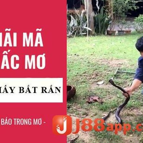 Stream Ngủ mơ thấy rắn điềm báo điều lành hay dữ? by J88 App | Listen ...