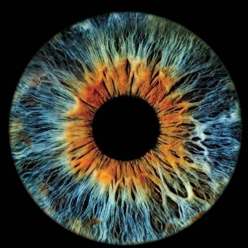 Stream Roddy Ricch - The Box (Skrillex Remix) @ The Lot Radio, Times ...