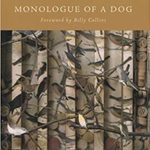 Stream Photograph from September 11 by Wisława Szymborska by KC Trommer ...