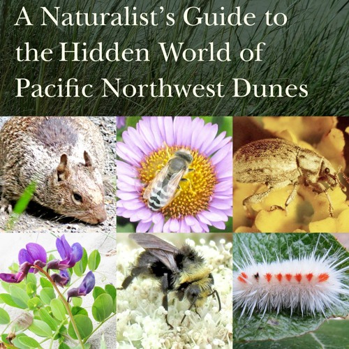 Stream episode Hidden World of Pacific Northwest Dunes with Dr. George ...