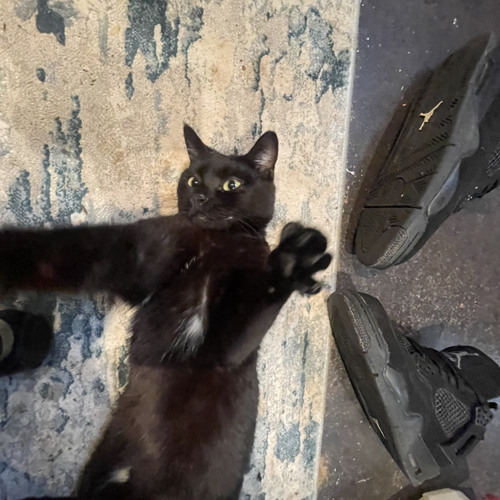 Stream FIRE ON ME by Baby Dru | Listen online for free on SoundCloud