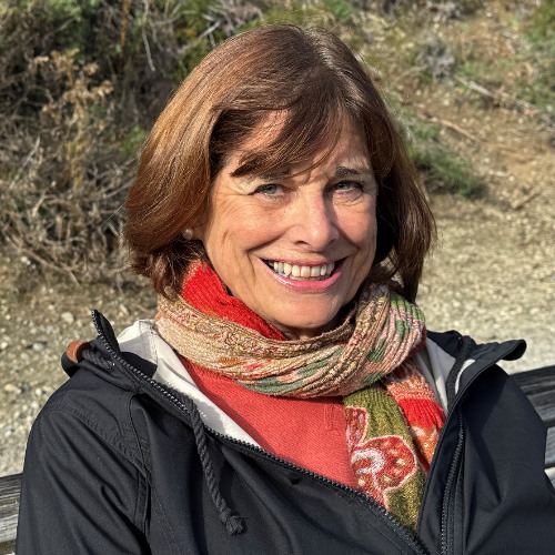 Stream Marie Lewis - Full Interview by WānakaHistory | Listen online ...