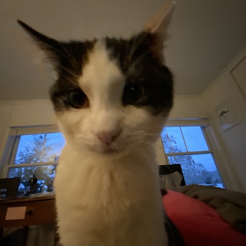 Stream Heron Carter | Listen to Car gym playlist online for free on ...