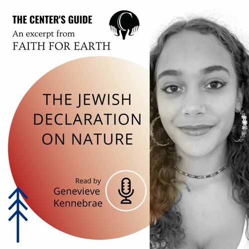 Stream Faith for Earth Resource: The Jewish Declaration on Nature by ...