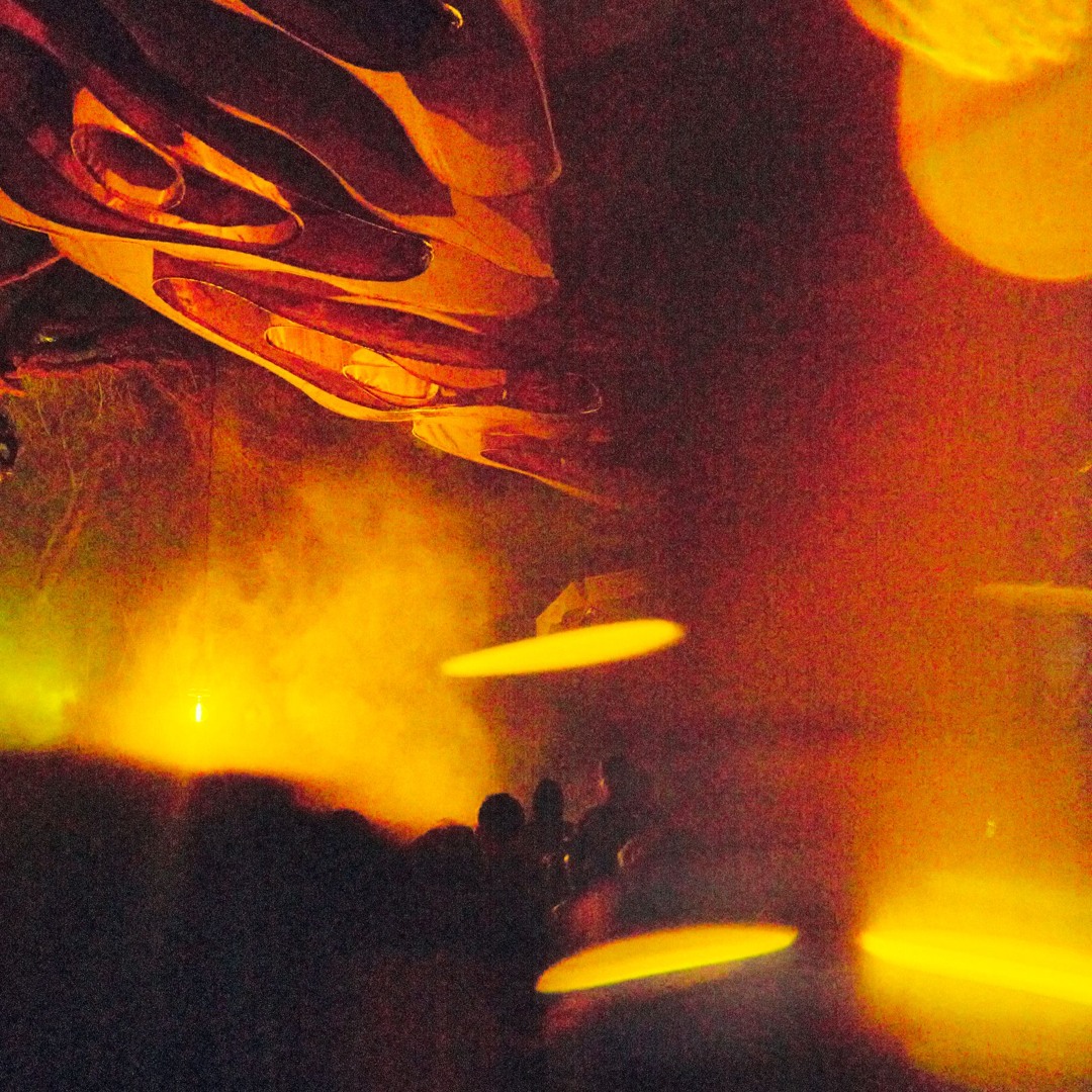 Stream Mama Snake at Floresta - Waking Life '24 by Waking Life | Listen ...