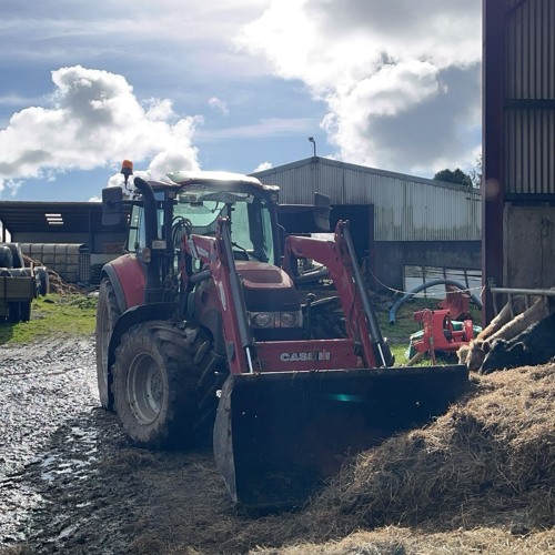 Stream Cathal Lee | Listen to Country playlist online for free on ...