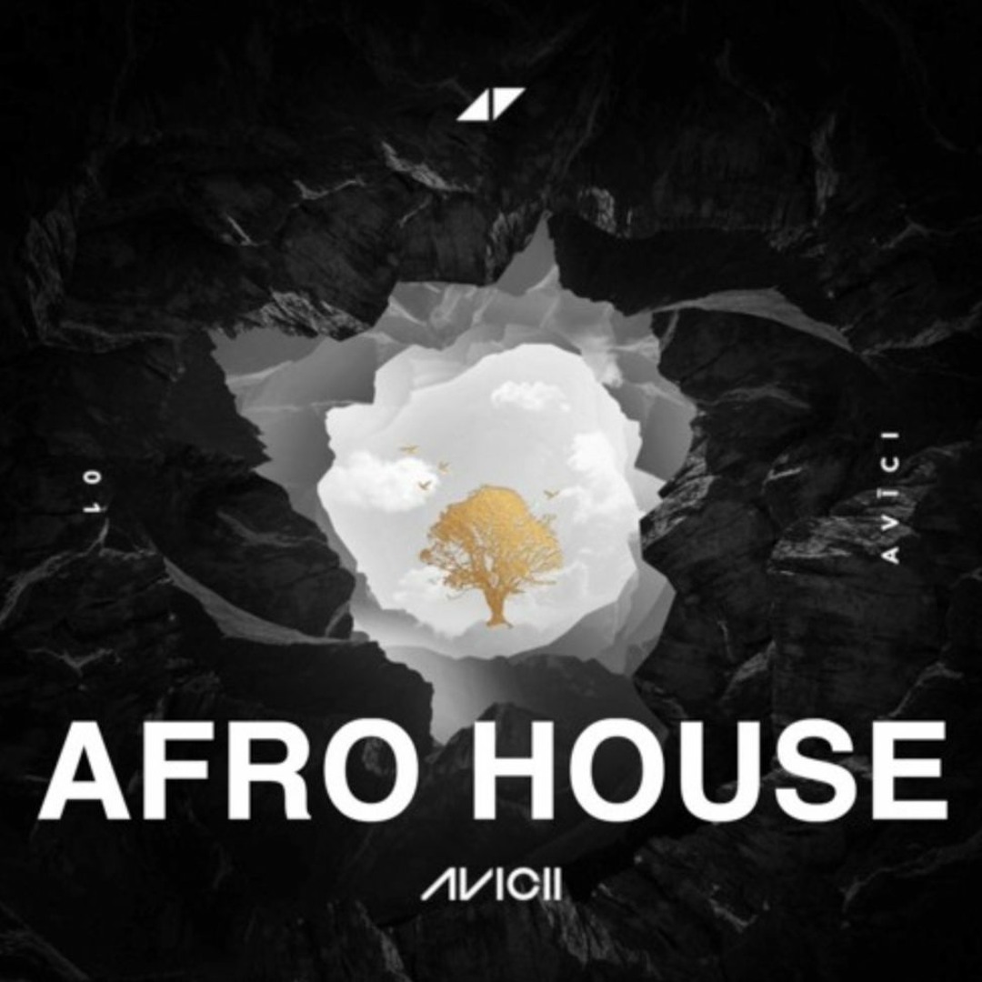 Stream Afro House | W1th0ut Y0u (Bennet Dreyer Remix) by Afro House | Listen online for free on ...