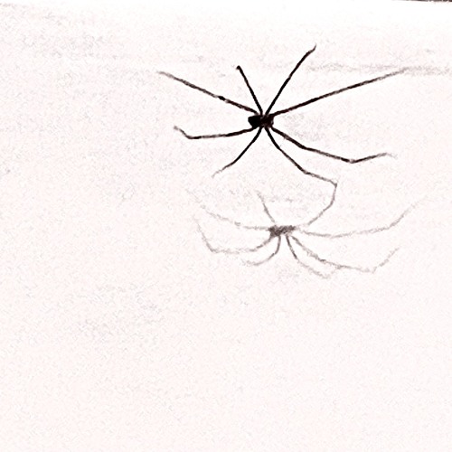 Stream Monster by Maylee Weesly | Listen online for free on SoundCloud