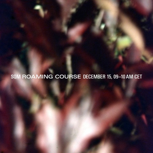 Stream Roaming Course Nr. 43 (23/12/15, Radio 80000) by Squama Recordings | Listen online for ...