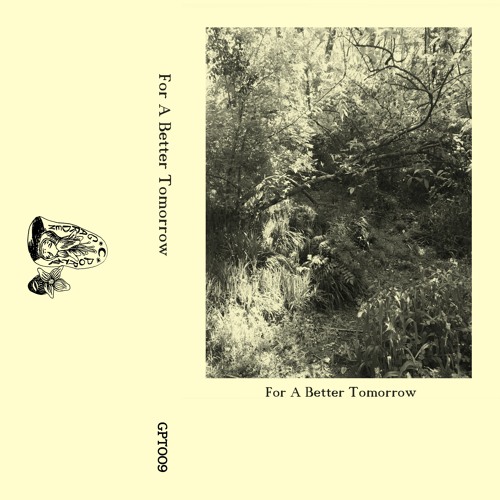 Stream Magic Tuber Stringband - Coyote by Garden Portal | Listen online ...