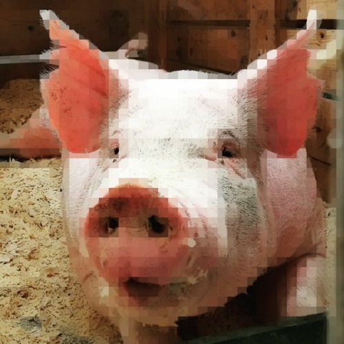 Stream Future Bacon by Mark Fennell | Listen online for free on SoundCloud