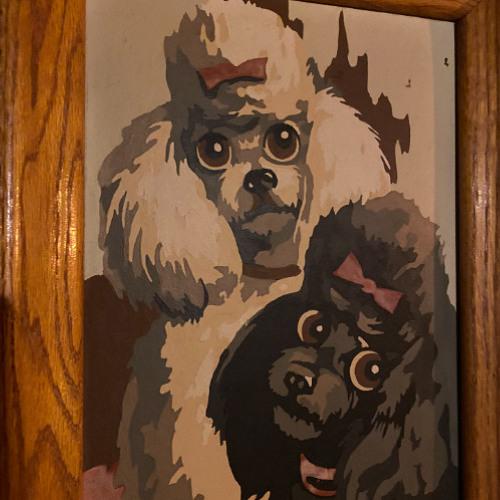 Stream The 50 by Bee-Loud Glade | Listen online for free on SoundCloud