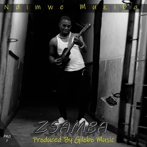 Stream Nsima - Zaguku Samba by zaguku samba | Listen online for free on ...