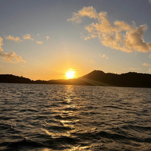 Stream The Sun is Rising for a New Year - let there be House by DJ ...