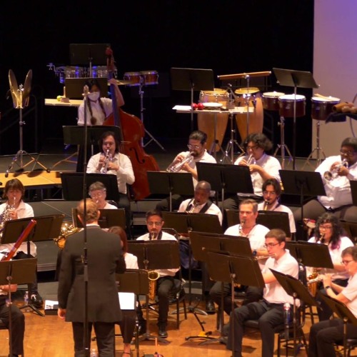 Stream Libertango by Bodacious Riffs | Listen online for free on SoundCloud