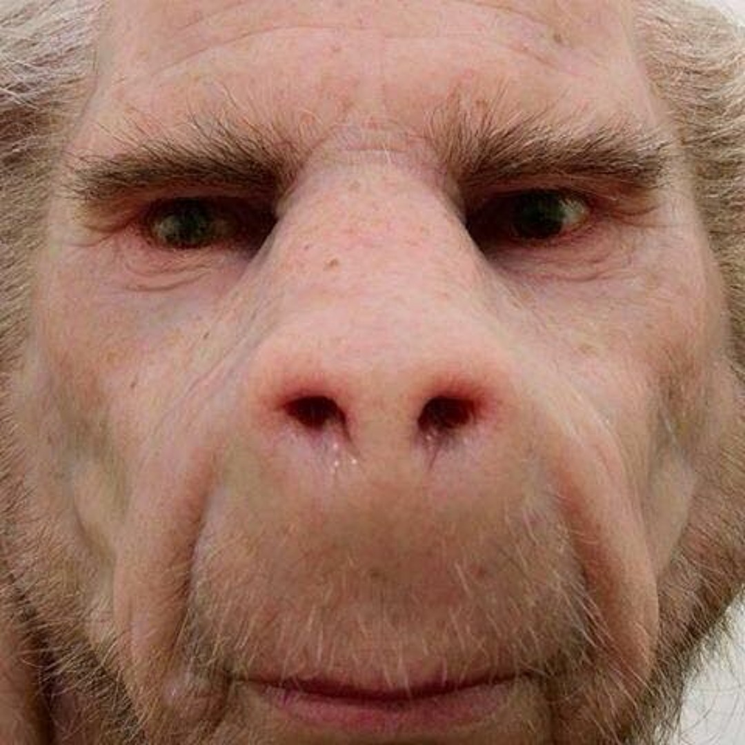 Stream Jason Genova A.K.A J Cream - Baller Status (Official Music Video ...