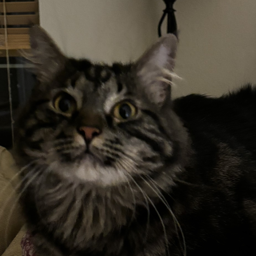 Stream Tipper “Sonar” ID by Ryan Eagleton | Listen online for free on ...