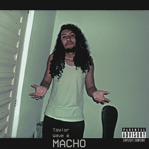 Stream Taylor Wave É Macho by Taylor Wave | Listen online for free on ...