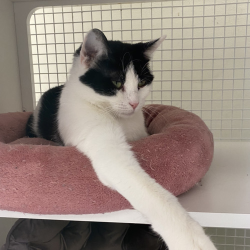 Stream LUCY - Alex g by tomato_soupp | Listen online for free on SoundCloud