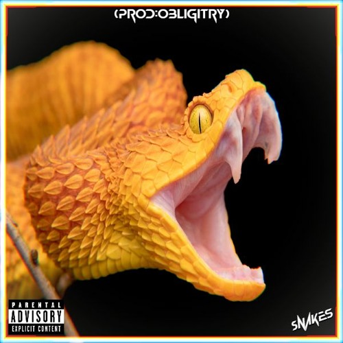 Stream Snakes by Obligitry | Listen online for free on SoundCloud