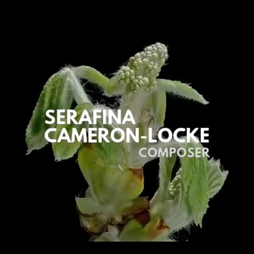 Stream Growth - for Piano, Violin and Cello (drama/suspense) by ...