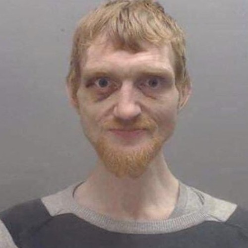 Stream Halflife2 Stalker Scream Sound Effect by Bugdy | Listen online ...