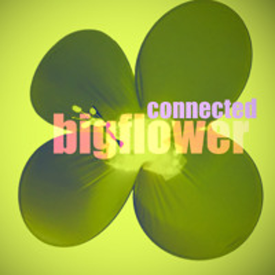 Stream bigflower- CONNECTED by Ivor Perry BigFlower Easterhouse ...