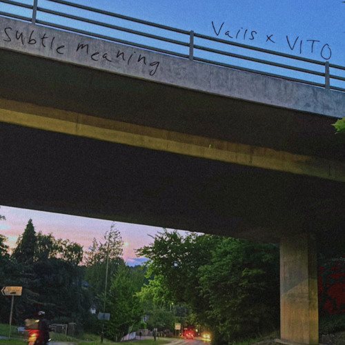 Stream Subtle Meaning w/ VITO by vails | Listen online for free on ...