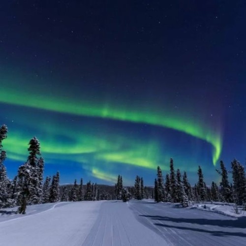 Stream Ace Virtual Singer Cover background stock 💋💋💋 FREE DOWNLOAD by ...