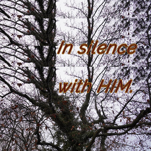 Stream IN SILENCE WITH HIM by Alina Buzulan | Listen online for free on ...