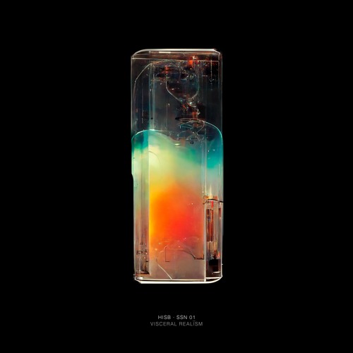 Stream Visceral Realism by HISB | Listen online for free on SoundCloud