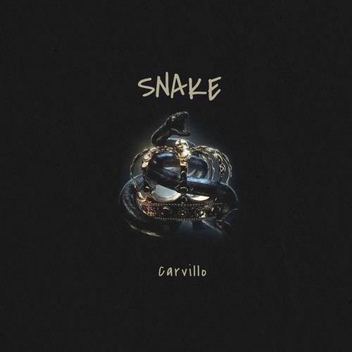Stream Carvillo - SNAKE by Carvillo | Listen online for free on SoundCloud