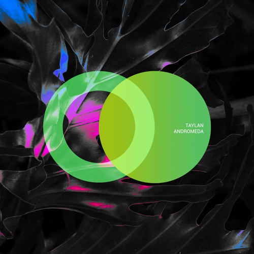Stream Taylan - Andromeda by Area Verde | Listen online for free on ... Stream Taylan - Andromeda by Area Verde | Listen online for free on ...