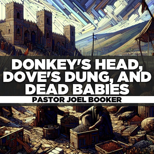 Stream Pastor Joel M. Booker - 2024.06.16 SUN AM PREACHING - Donkey's ...