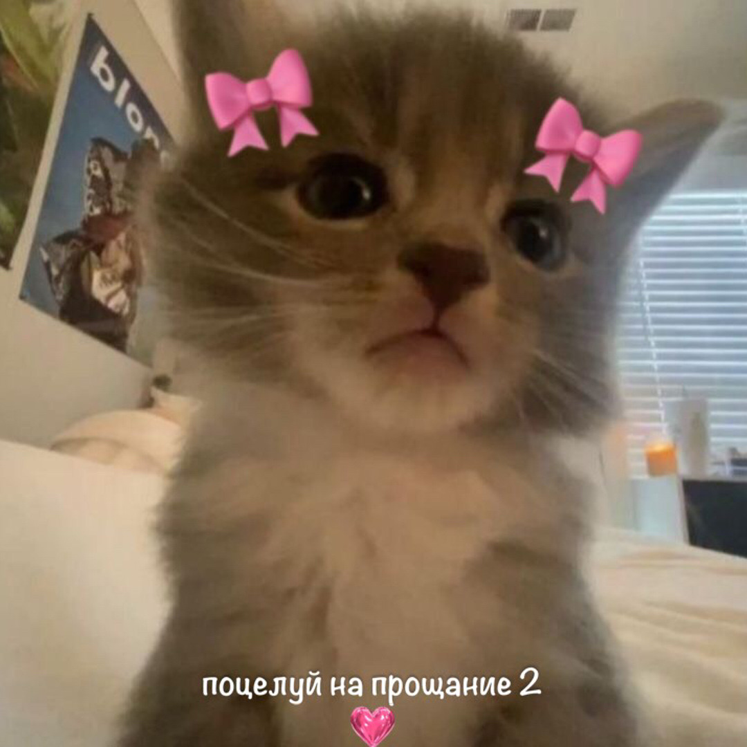 Stream поцелуй на прощание 2(speed up) by sweetkey!69 | Listen online ...