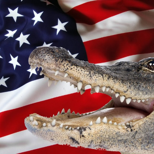 Stream 4th of July (w tutter) by AnderBeer | Listen online for free on ...