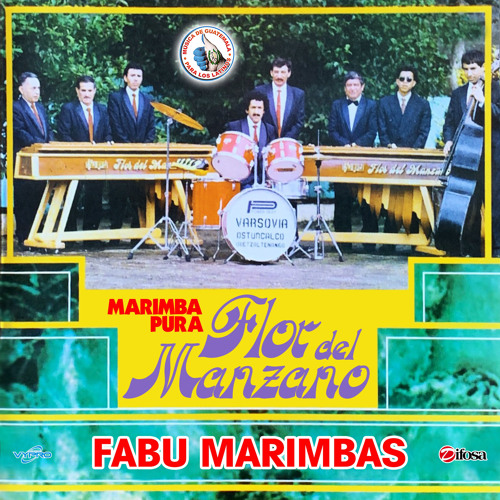 Listen to music albums featuring Fabu Marimbas by Marimba Flor del ...